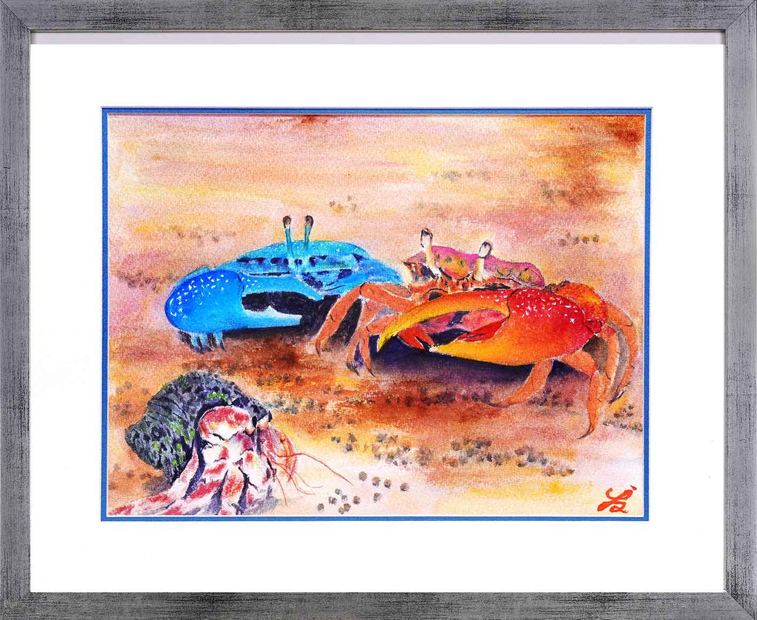 Fiddler Crabs – Shaping Hearts